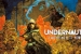 Undernauts: Labyrinth of Yomi Artwork | RPGFan