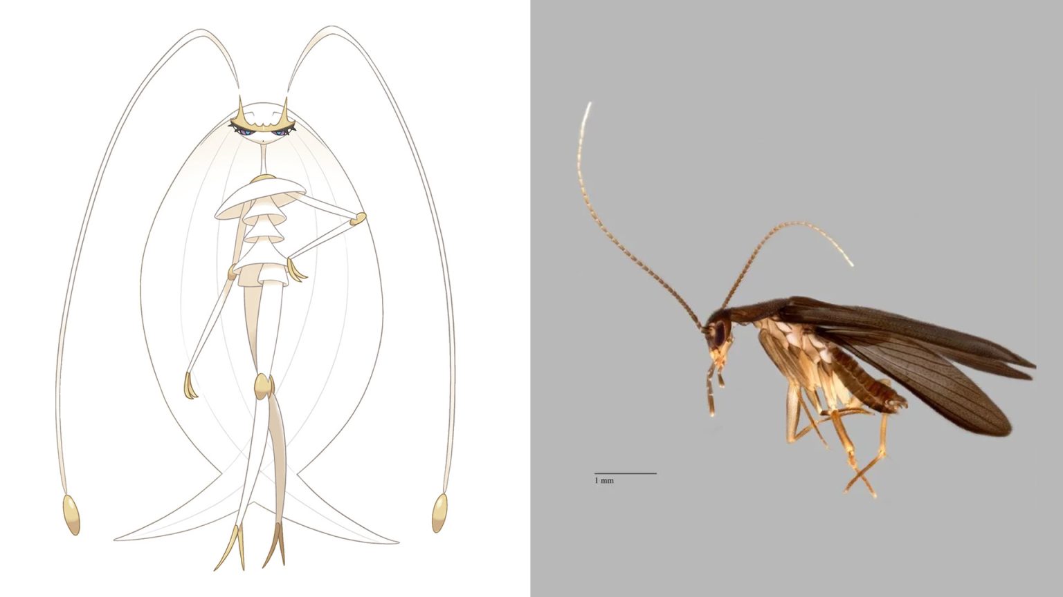 A New Cockroach Just Dropped and It's Named After a Pokémon | RPGFan